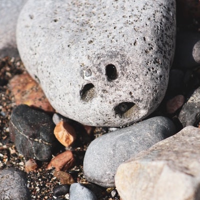 The Pet Rock Project